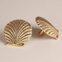 Shell Brass Knobs Set of 4 – TOPP BRASS